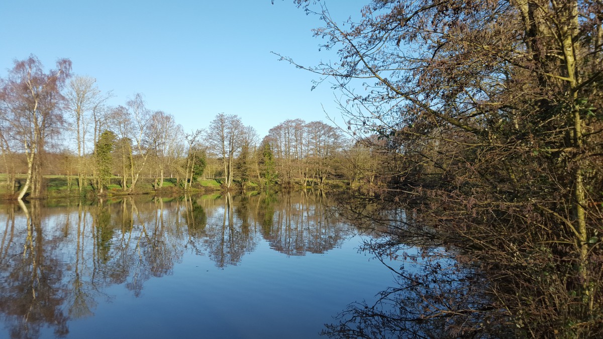 Embley Lake - Test Valley Angling Club