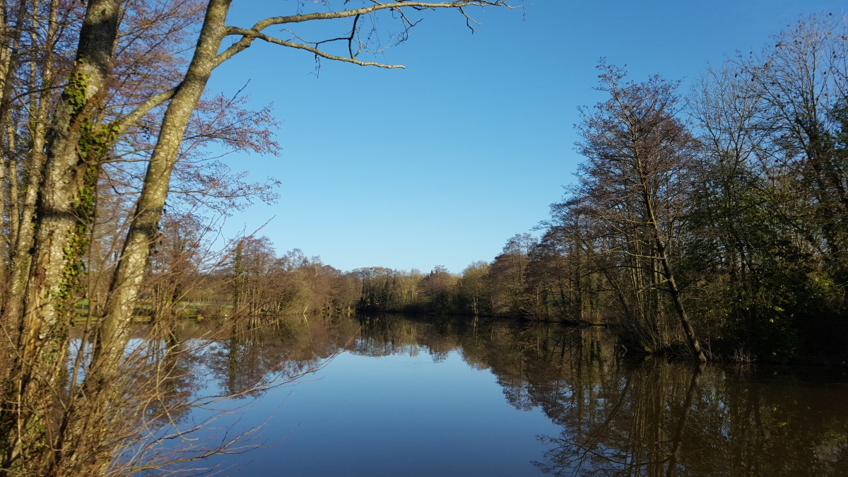 Embley Lake - Test Valley Angling Club